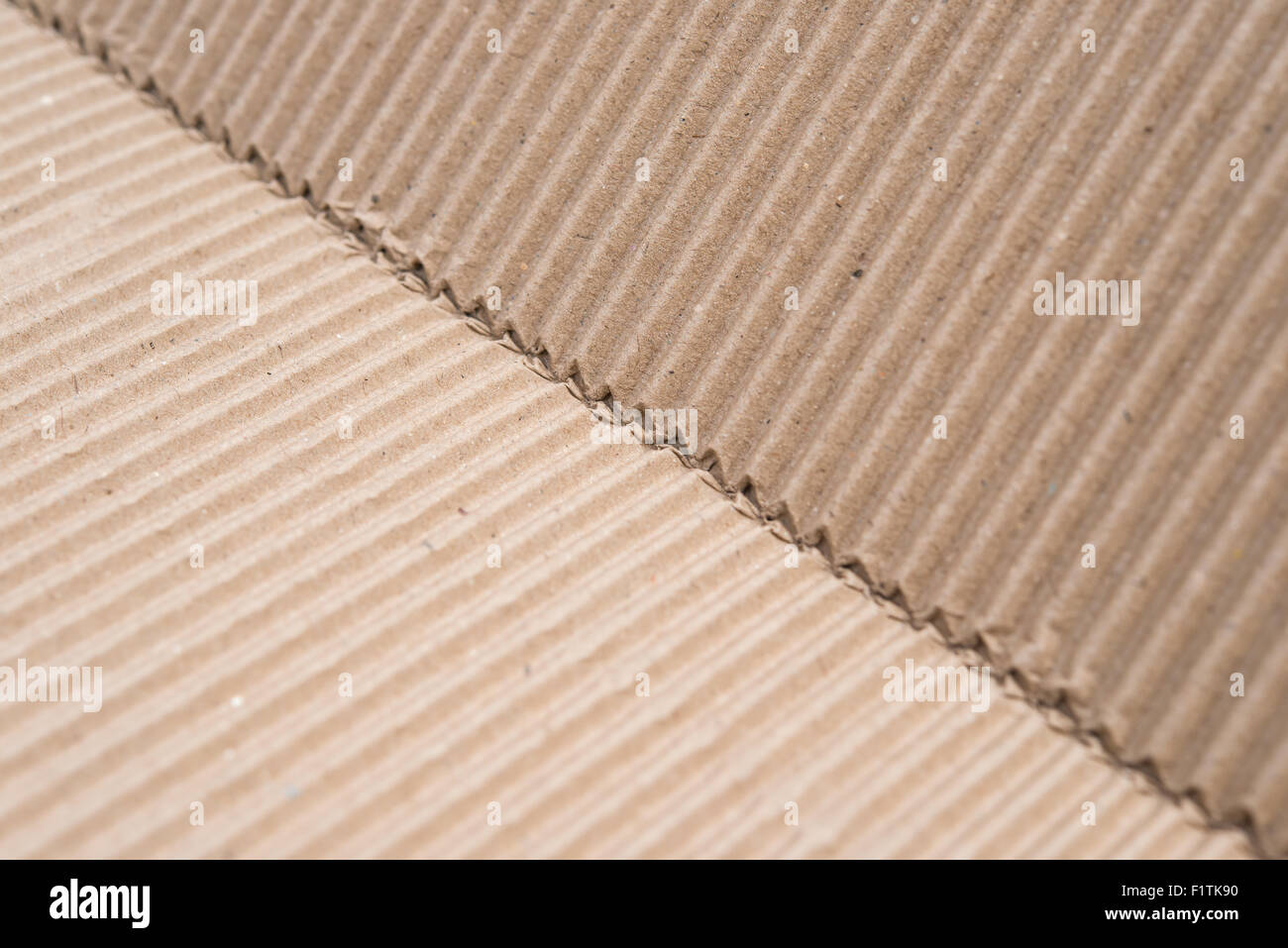 cardboard corrugated pattern at two different angles Stock Photo - Alamy