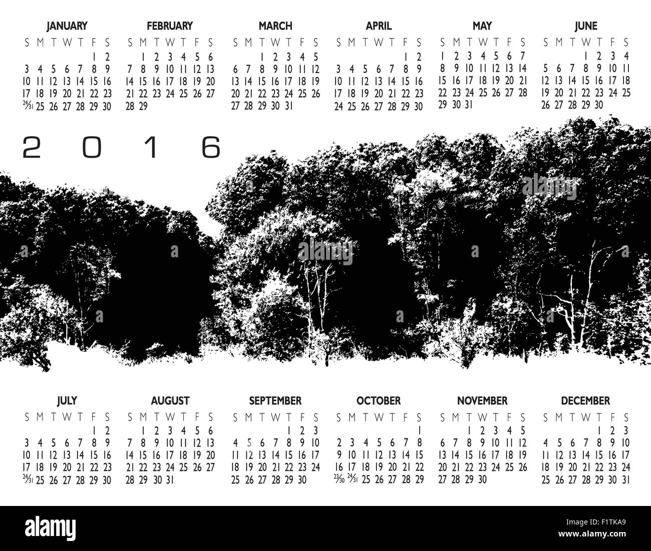 Spring time woods Black and White Stock Photos & Images - Alamy