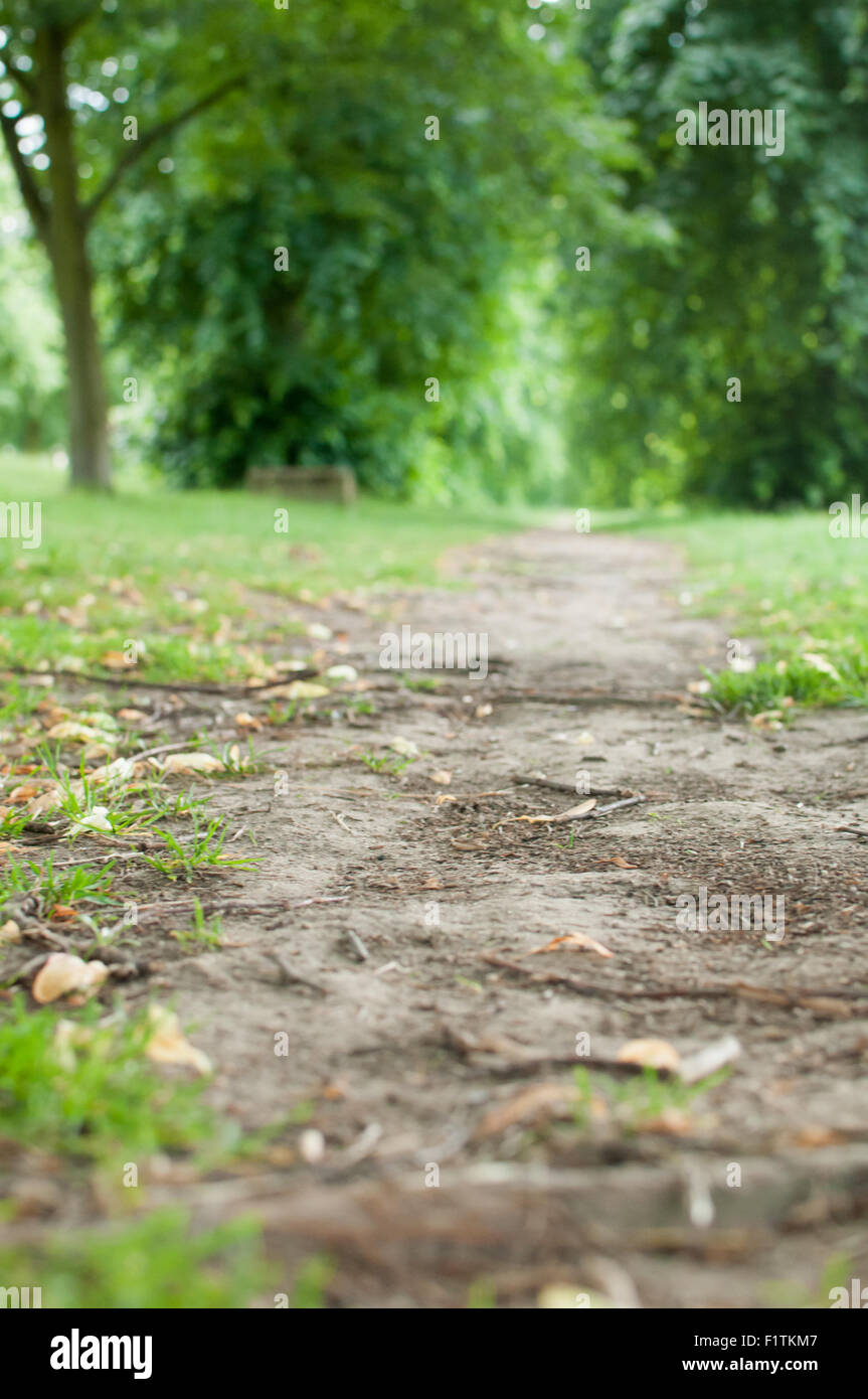 Dirt track hi-res stock photography and images - Alamy