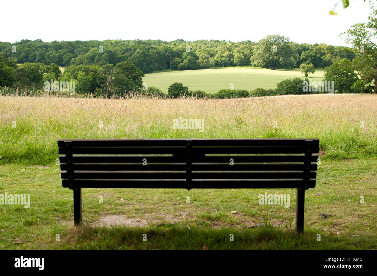 View over a landscape from a park bench Stock Photo - Alamy
