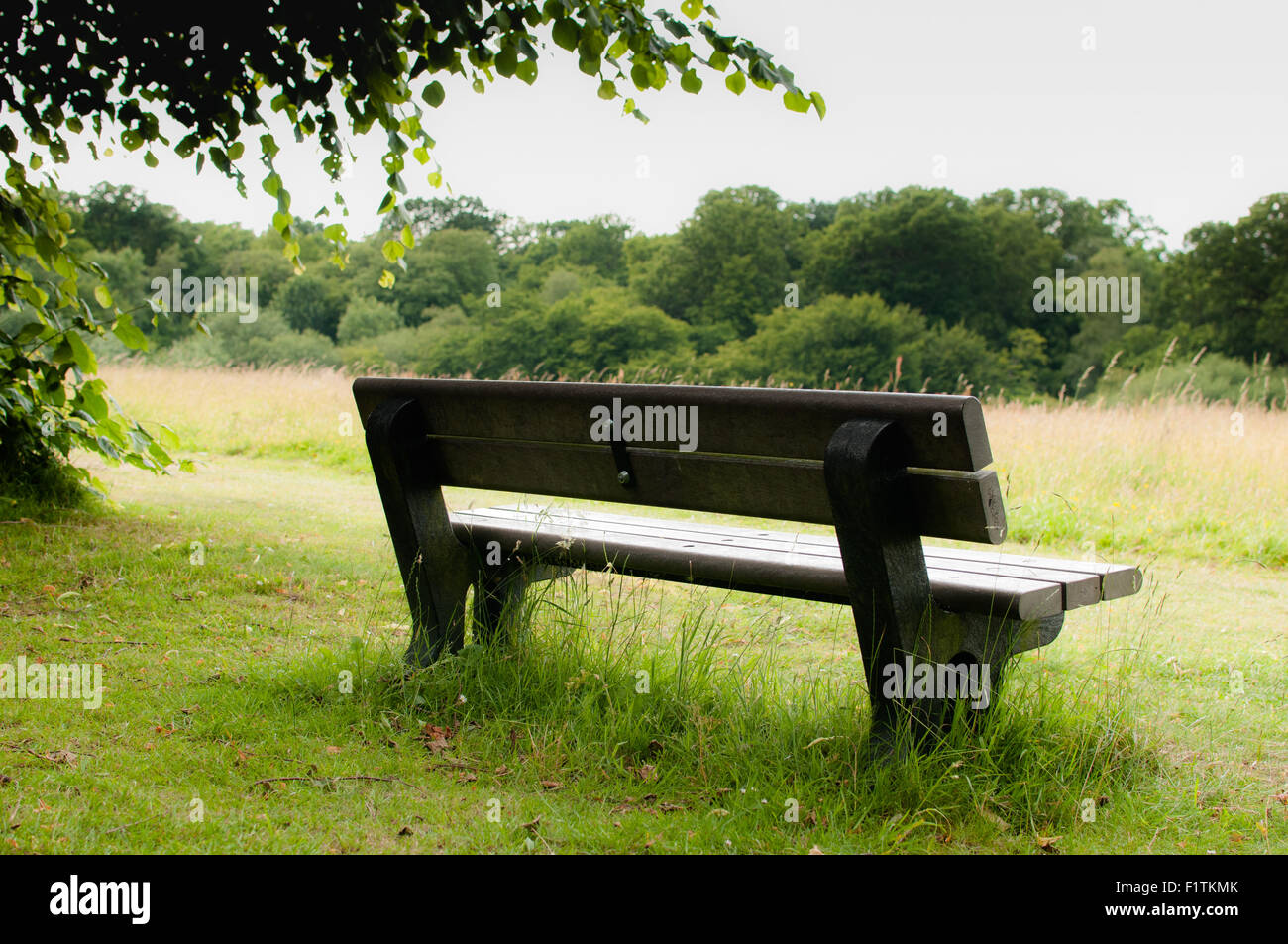 Park bench viewed from a low angle in the shade Stock Photo - Alamy