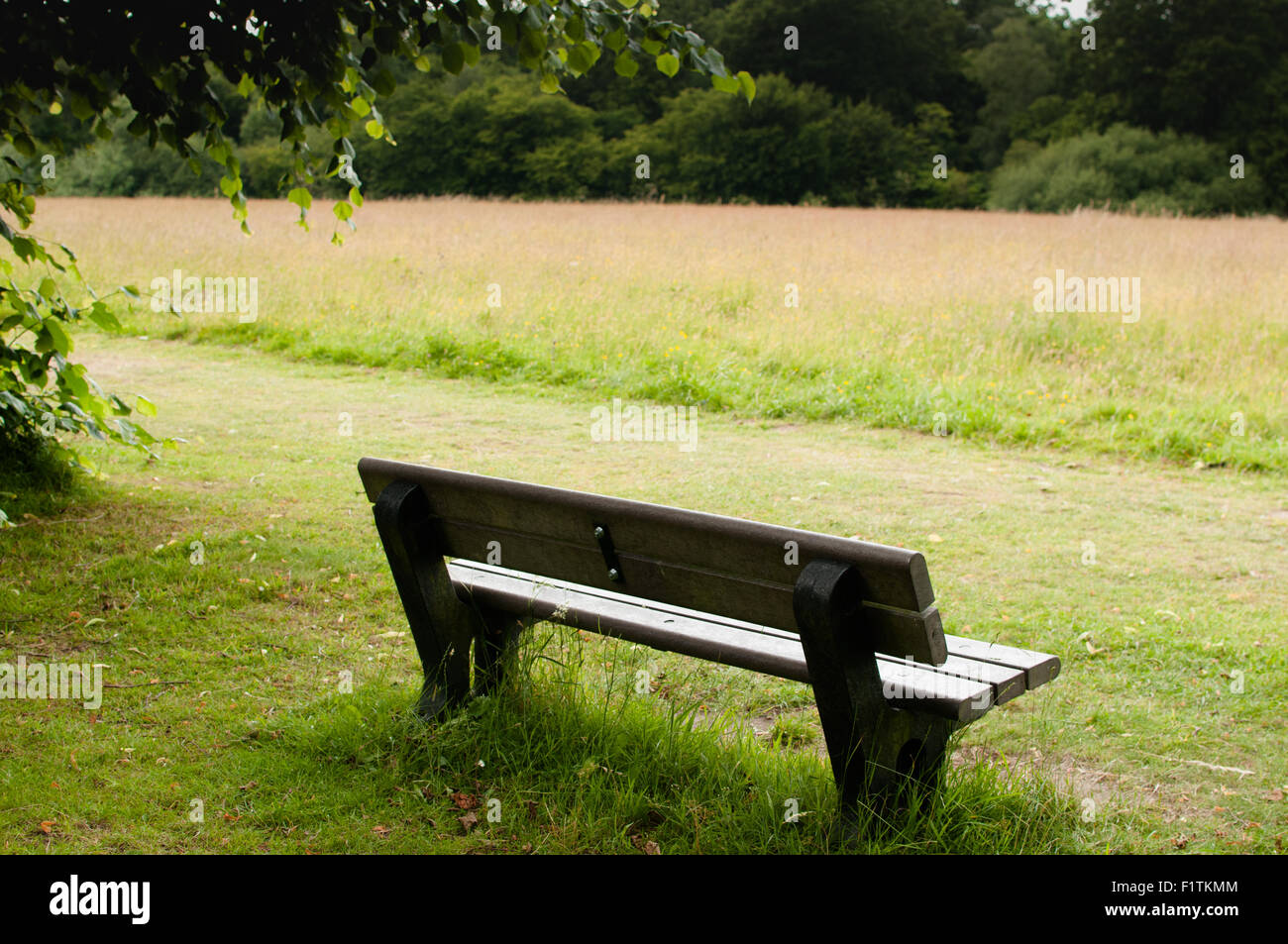 Rear view of a park bench in the shade Stock Photo - Alamy