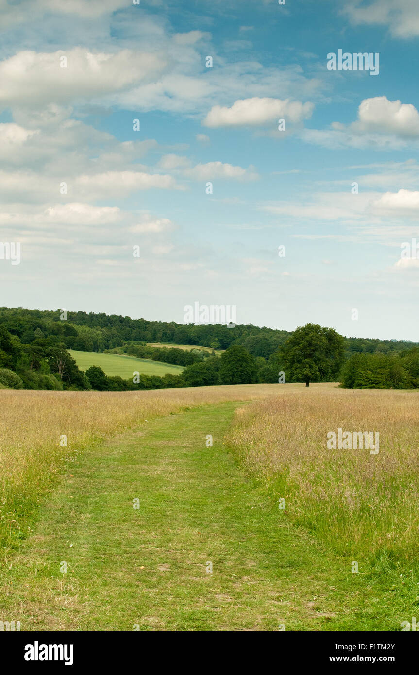 Grassy pathway through a country meadow Stock Photo - Alamy