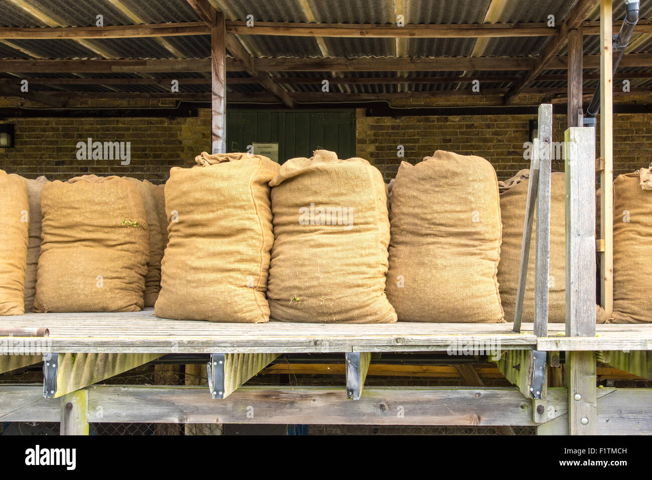 Drying hops hi-res stock photography and images - Alamy