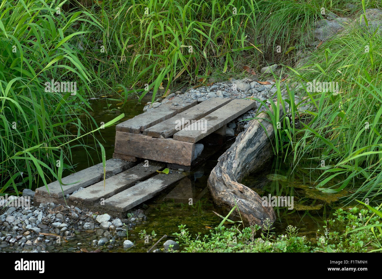 brook and walkway along bank with wooden step across water surrounded ...