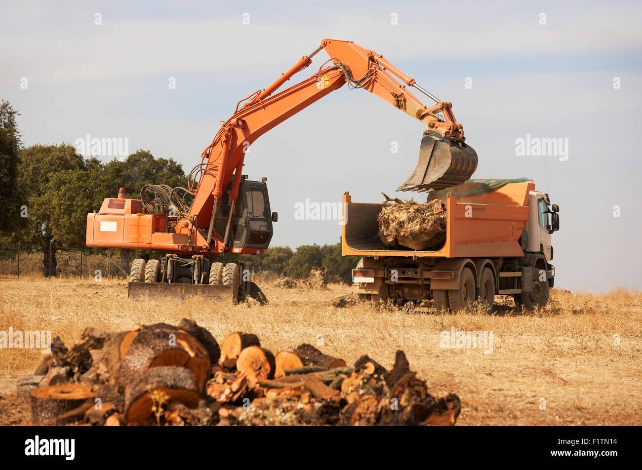 Wheel loader machine in construction site works unloading sand on truck ...