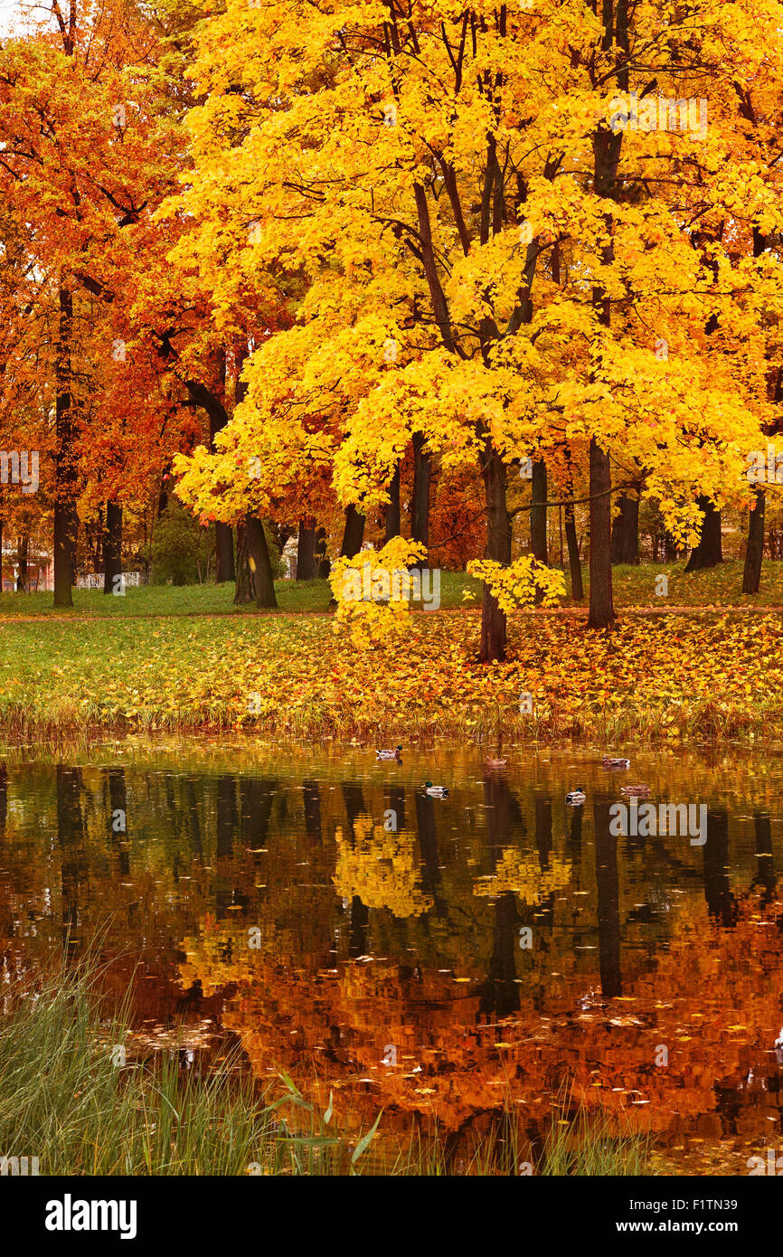 River water red maple park hi-res stock photography and images - Alamy