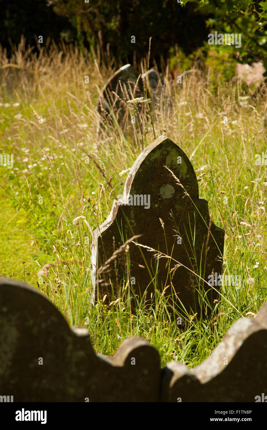 Overgrown graveyard in Bishops Castle, Shropshire Stock Photo - Alamy