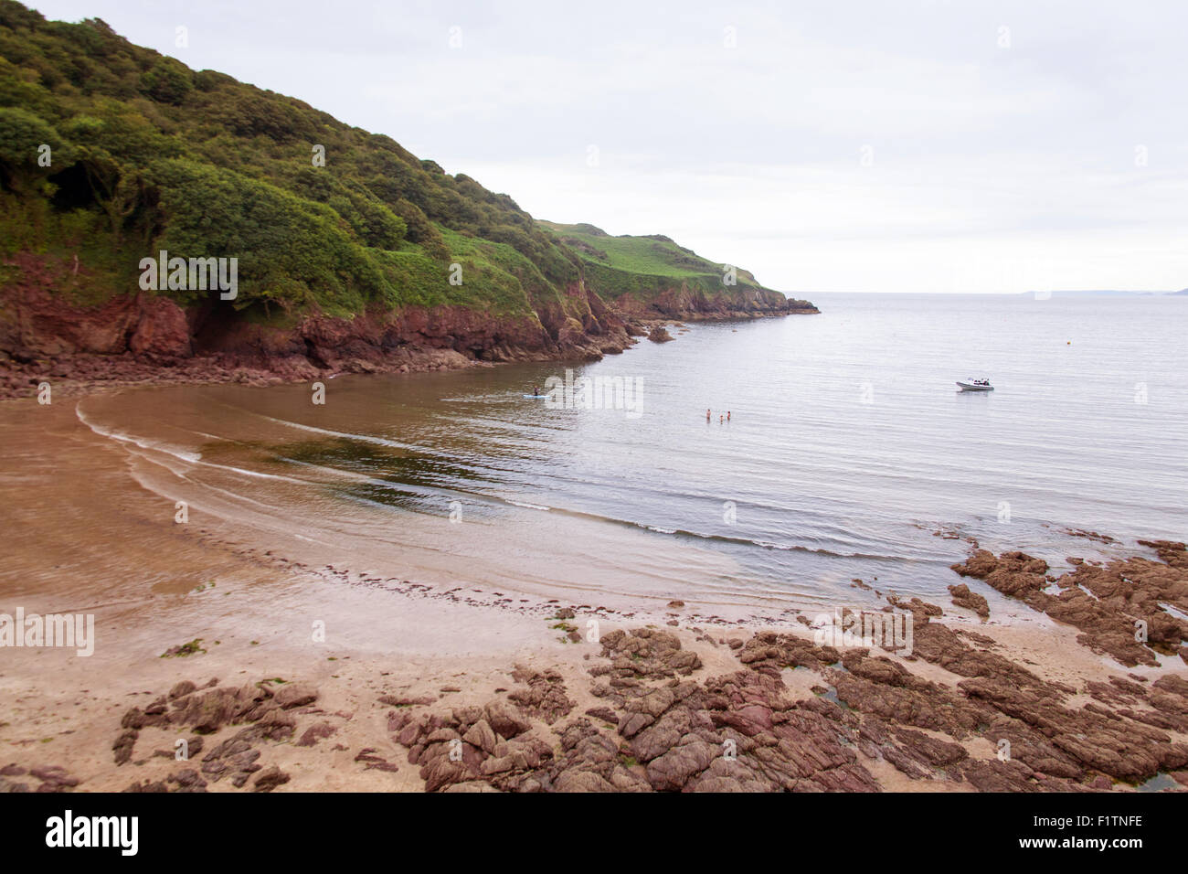 Devon south coast countryside hi-res stock photography and images - Alamy