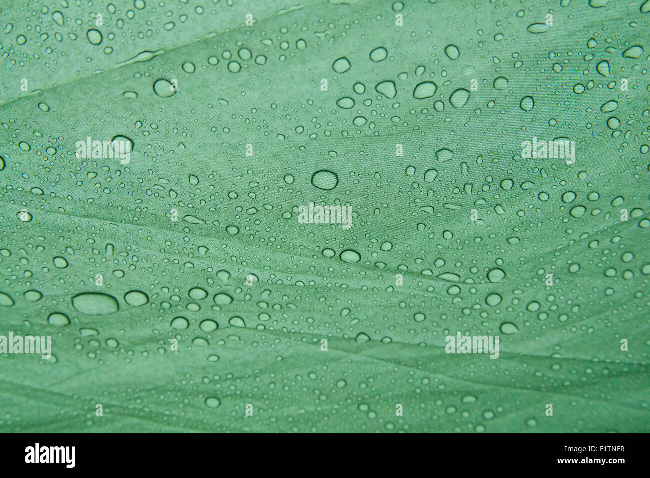 Rain droplets tent canvas hi-res stock photography and images - Alamy