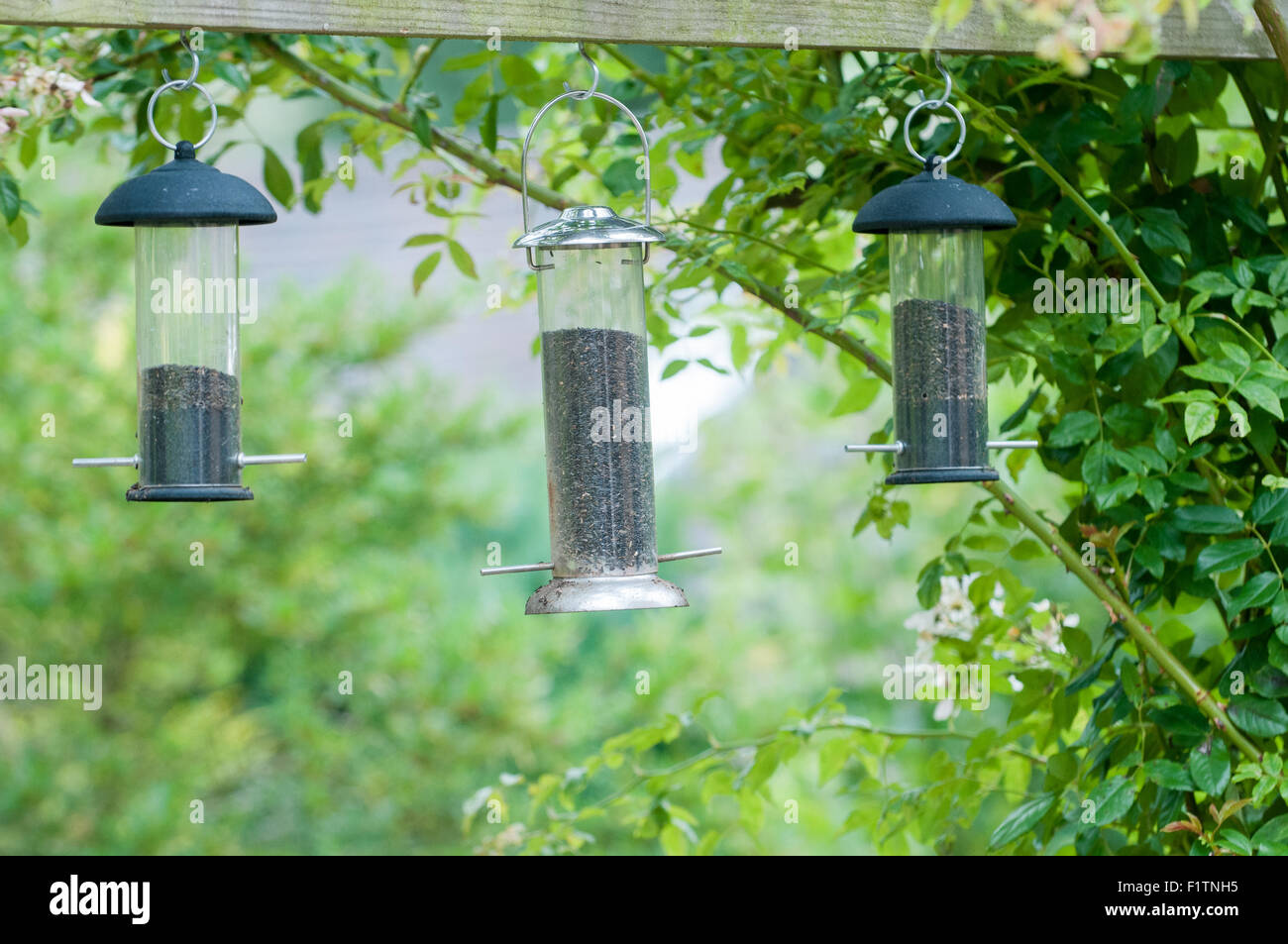 Feeders hi-res stock photography and images - Alamy