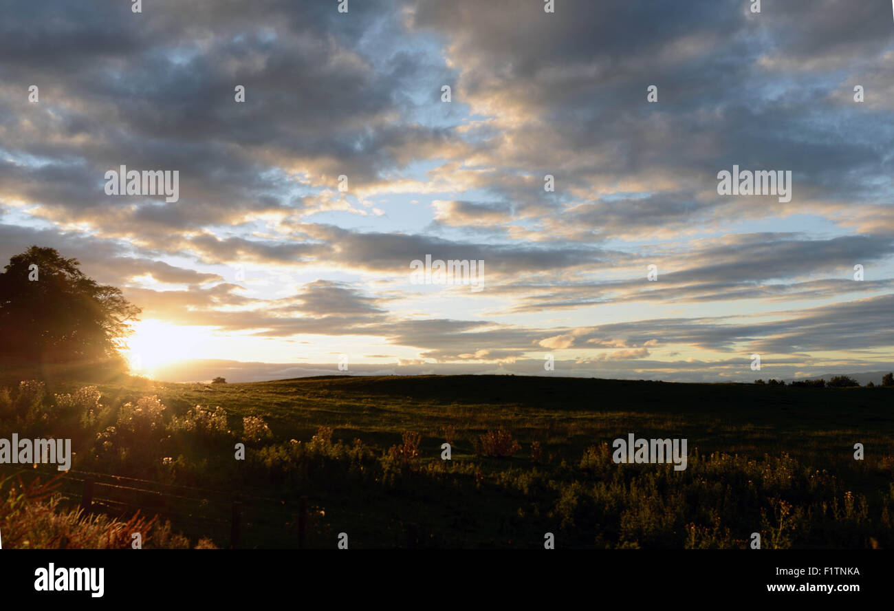 A SUNSET LOOKING OUT OVER THE FIELDS AND POND AT WILLIAMSCRAIG COTTAGES ...