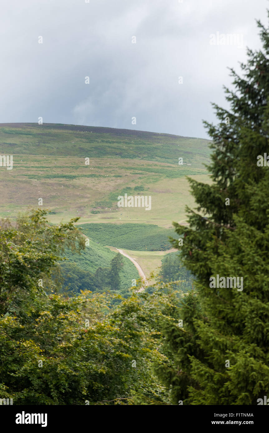 View of countryside through trees Stock Photo - Alamy