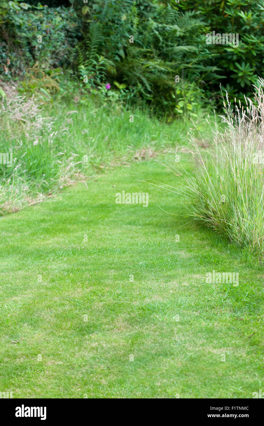 Sloping path through a garden Stock Photo - Alamy