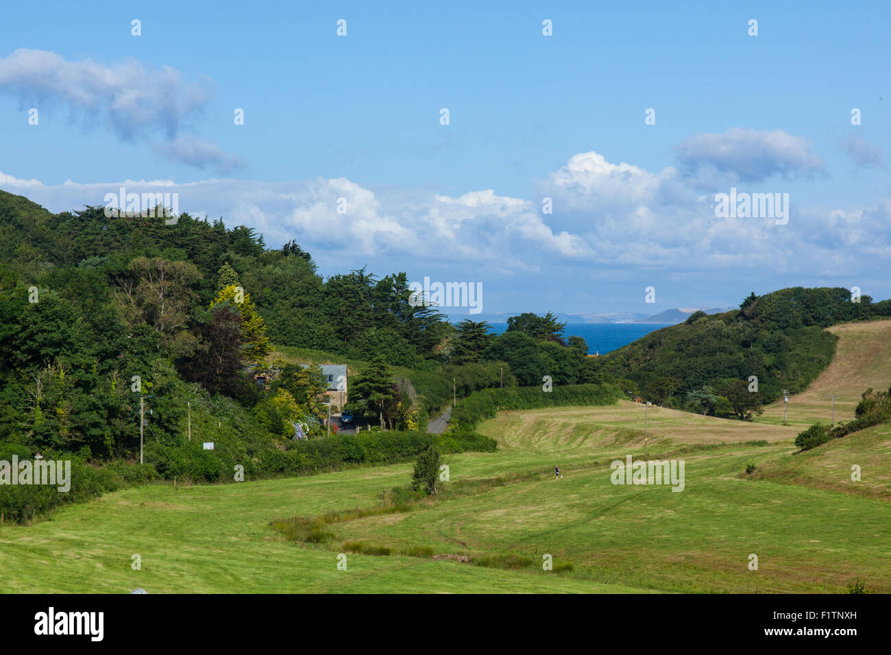 Fields near Hope Cove, Kingsbridge, Devon, England, United Kingdom ...