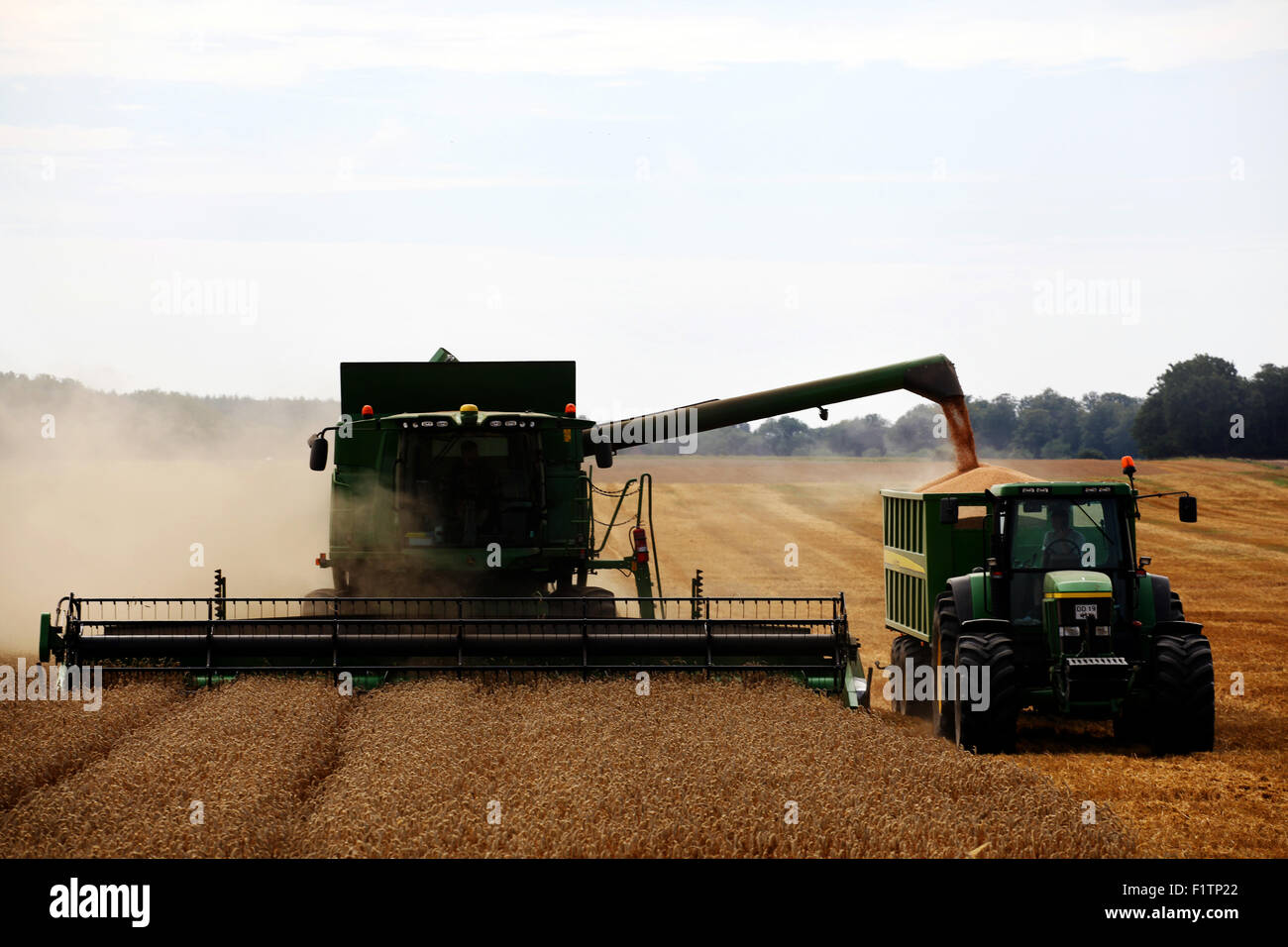 Harvester unloading the harvest to a tractor Stock Photo - Alamy