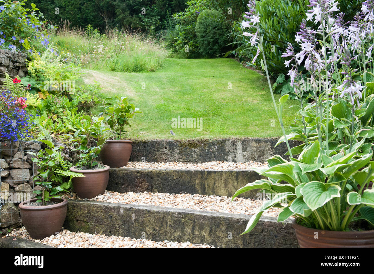 Steps to a lawn in a garden Stock Photo - Alamy