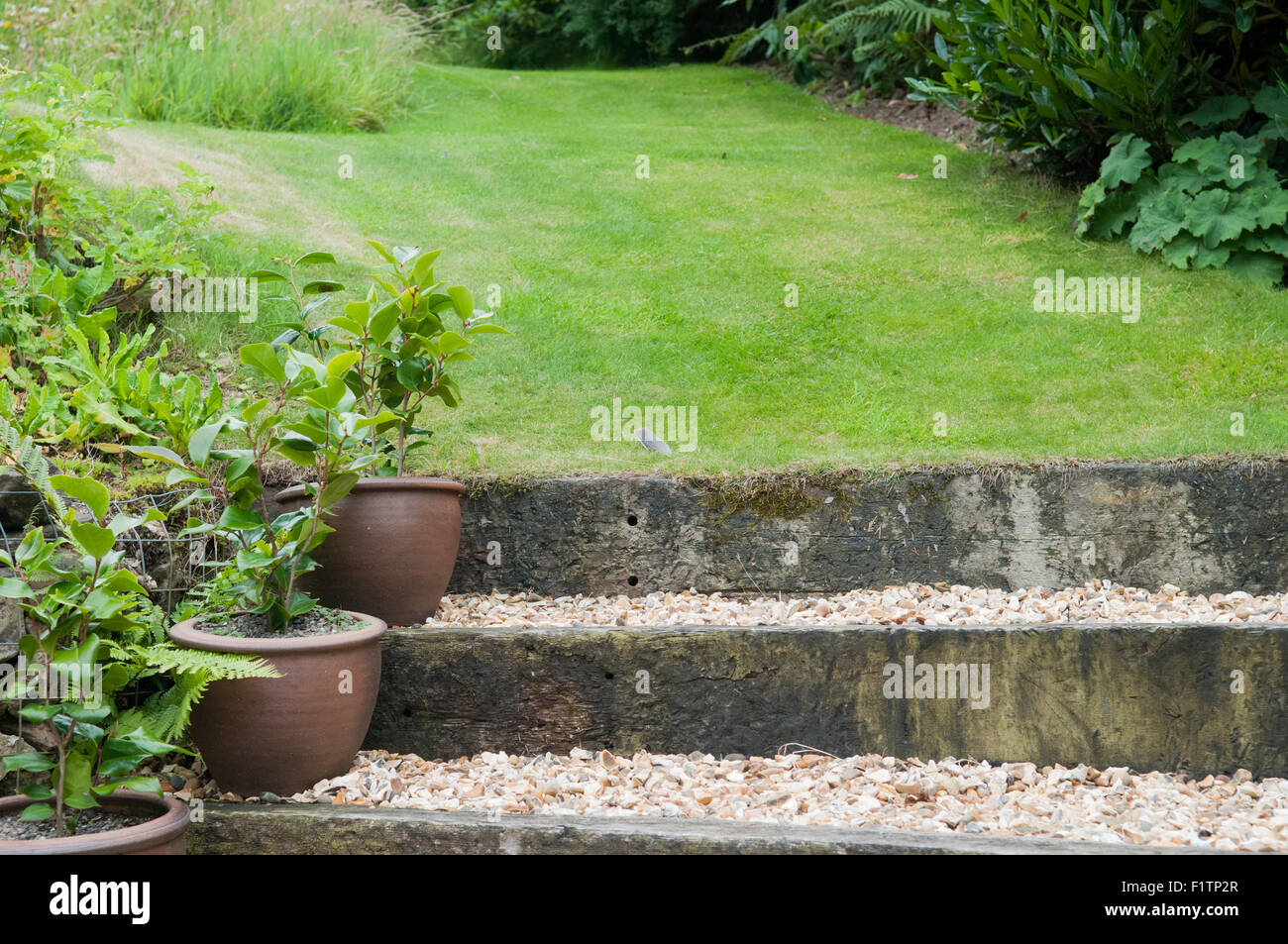 Steps to a lawn in a garden Stock Photo - Alamy