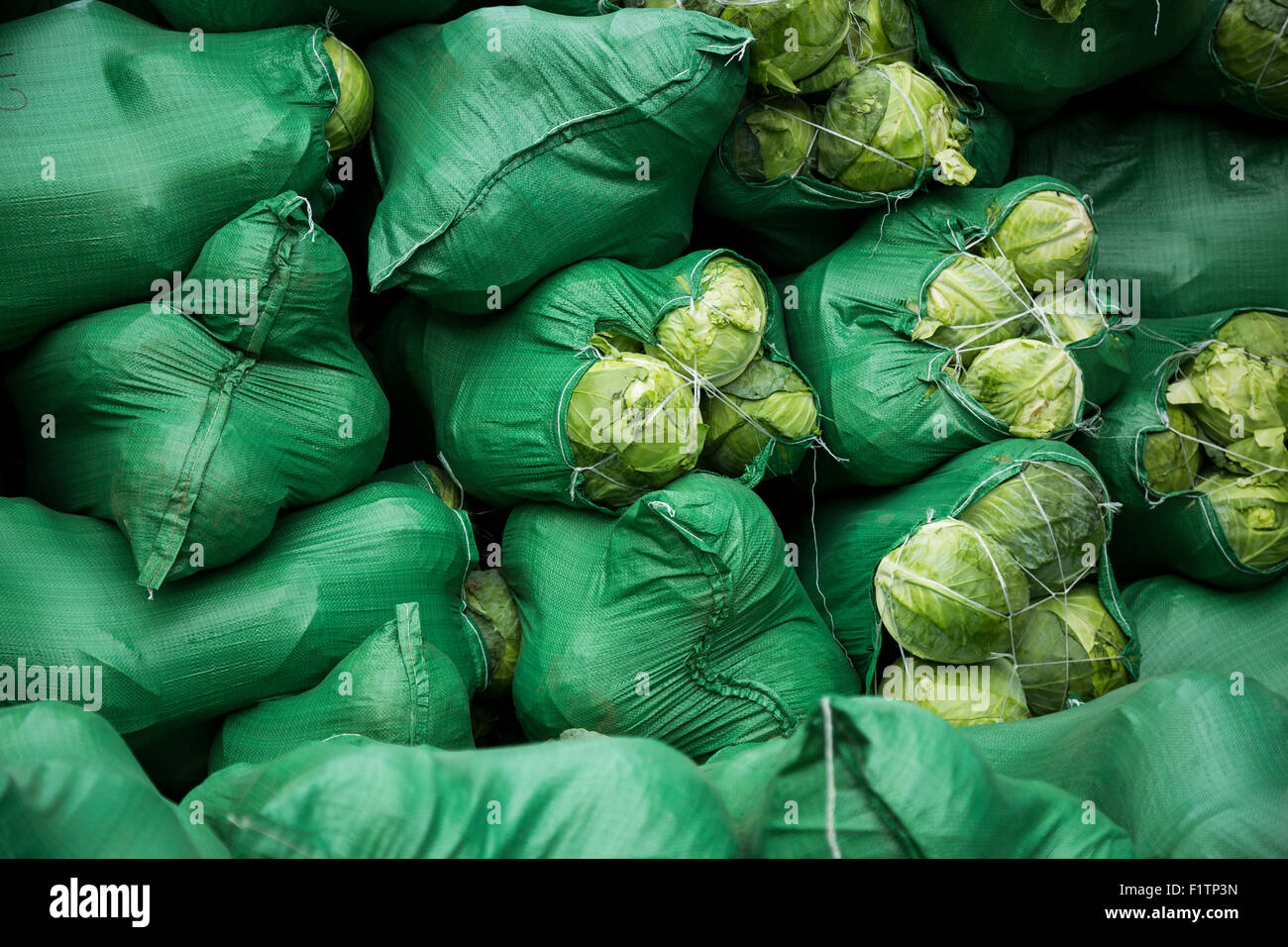 Sacks of Cabbage Stock Photo - Alamy