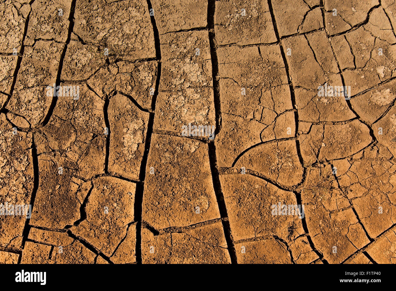 Hot dry field hi-res stock photography and images - Alamy