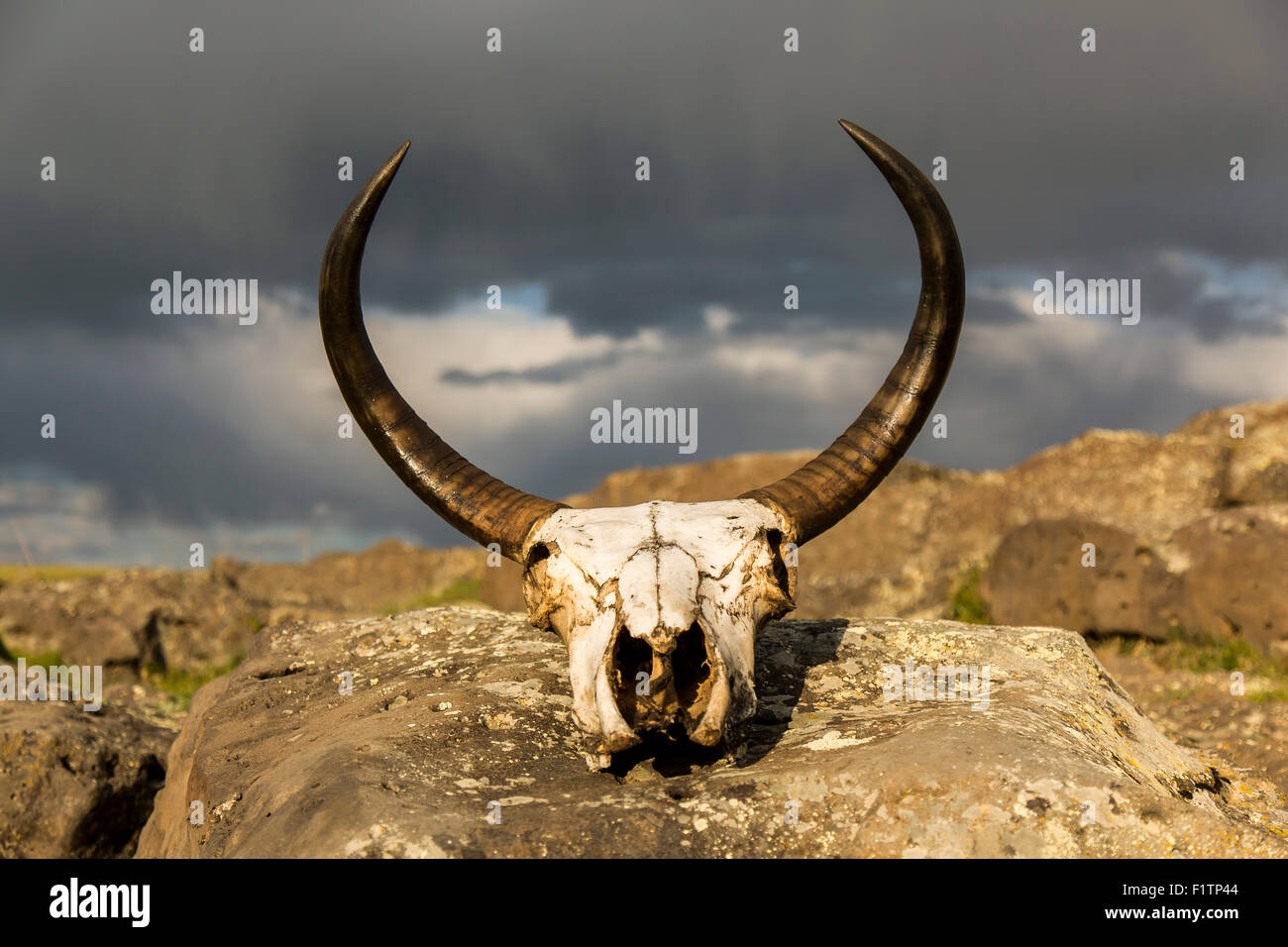 Death rituals hi-res stock photography and images - Alamy