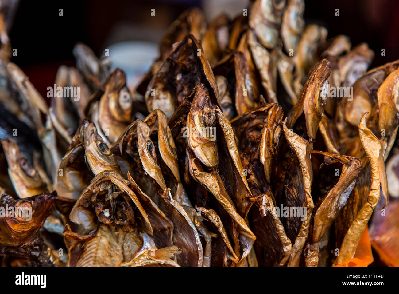 Omul fish in Listvyanka Stock Photo - Alamy