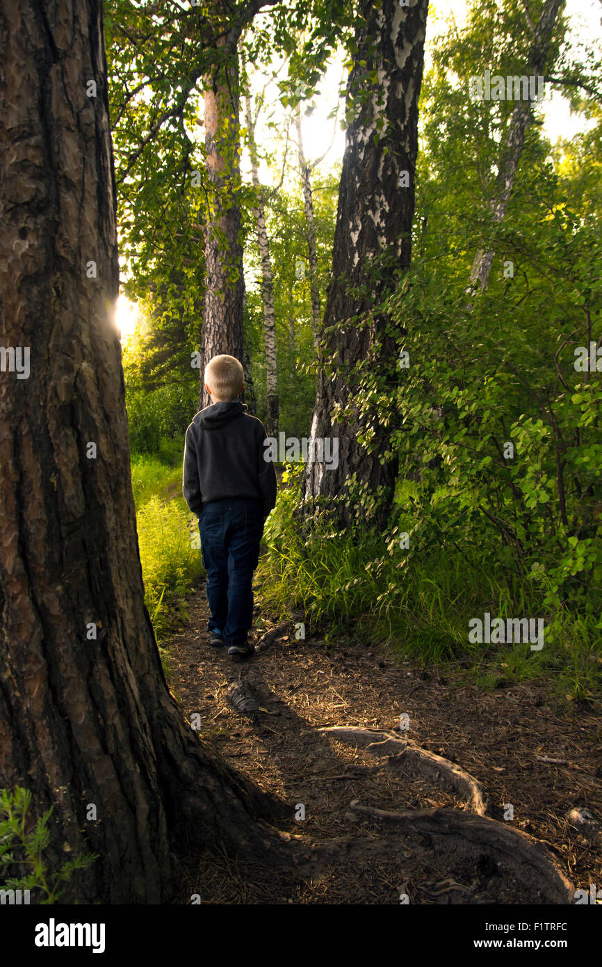 Child (boy) walking alone in green forest Stock Photo - Alamy