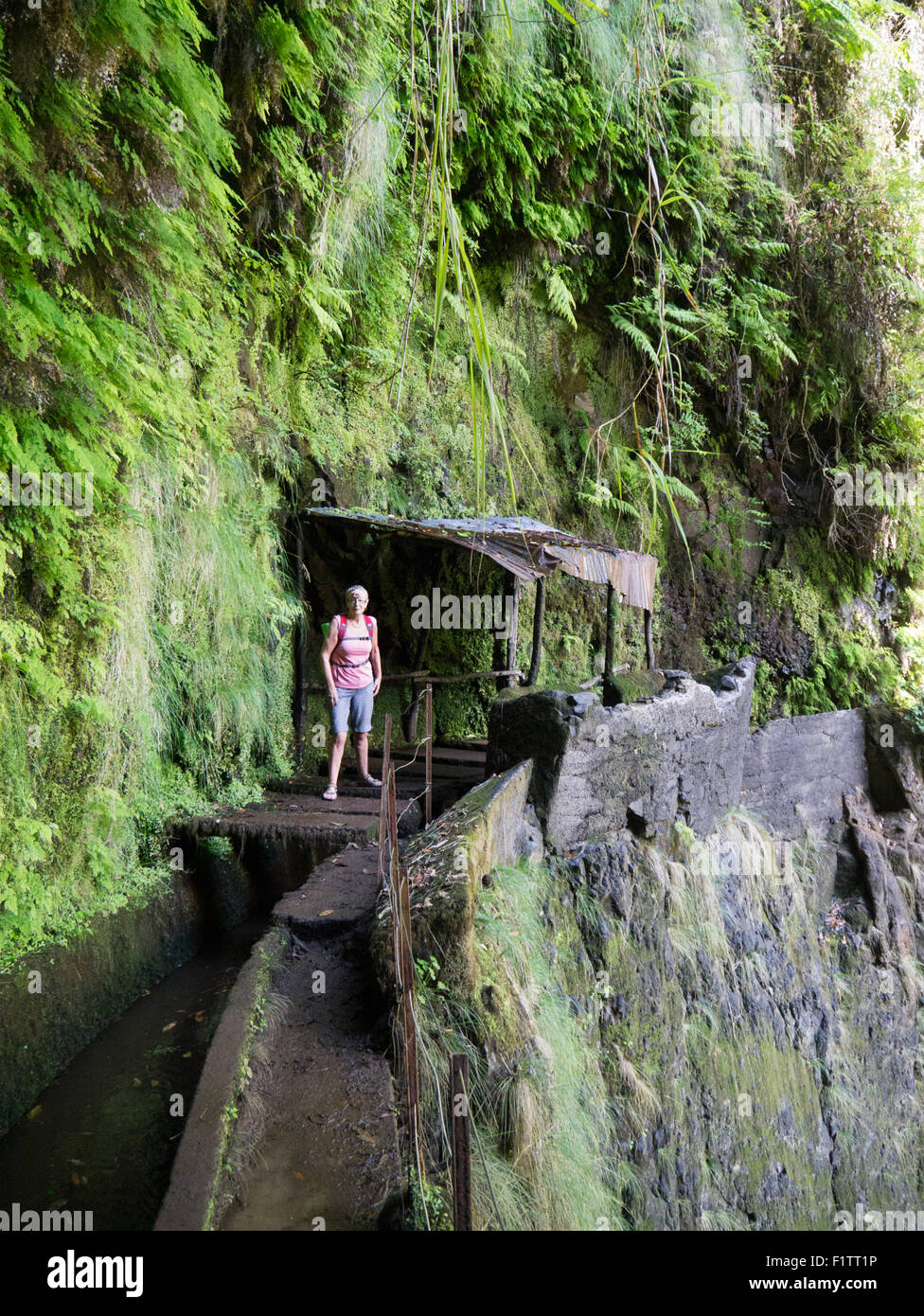 Levadas are irrigation canals built to bring water from the wet north ...