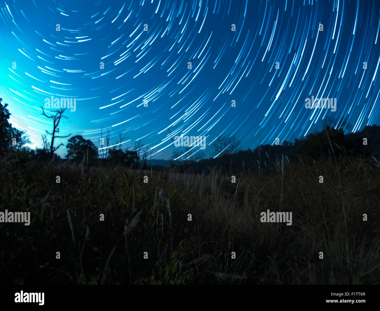 Star tail in sky Stock Photo - Alamy