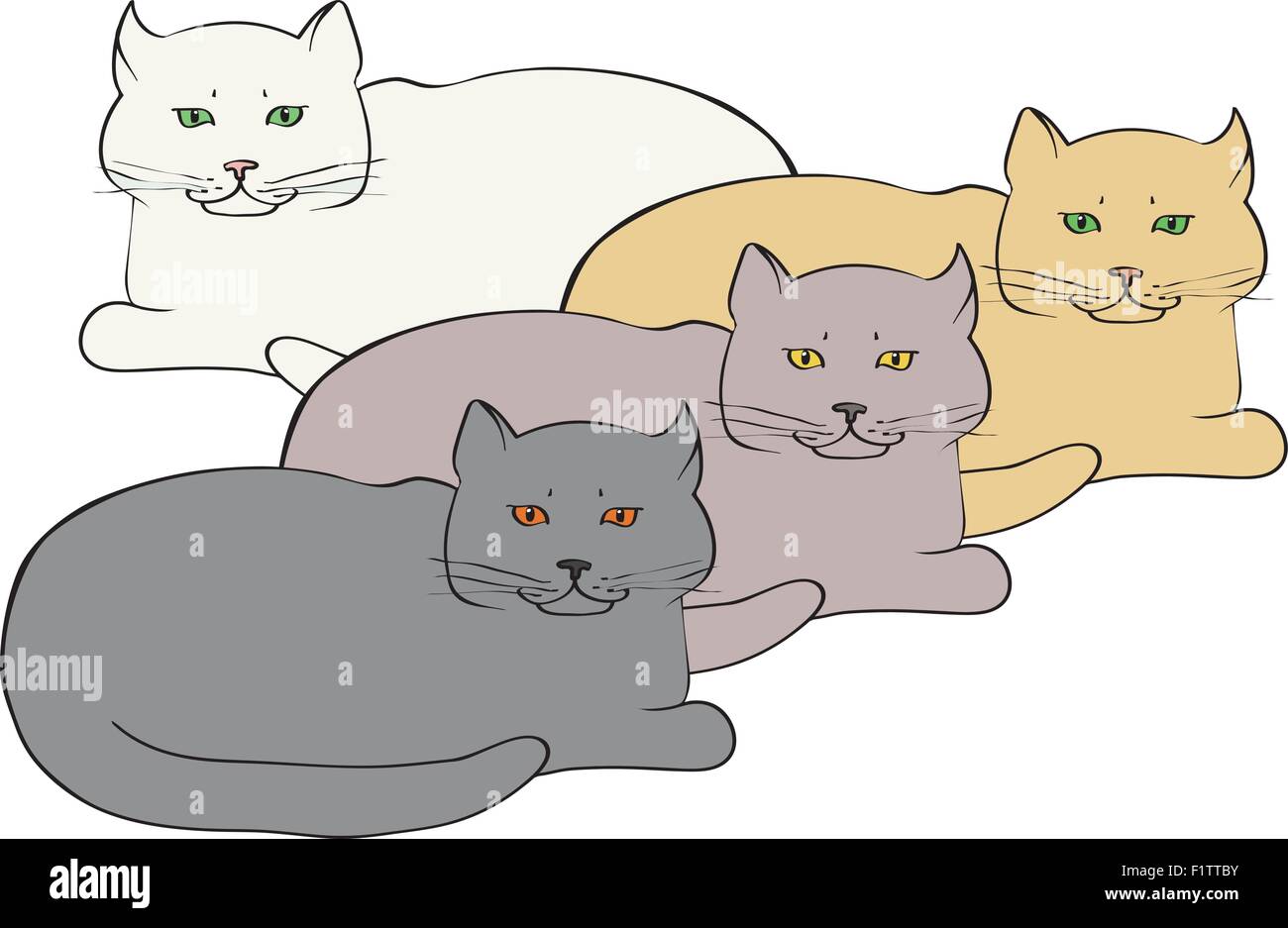 four different colored british cats Stock Vector Image & Art - Alamy