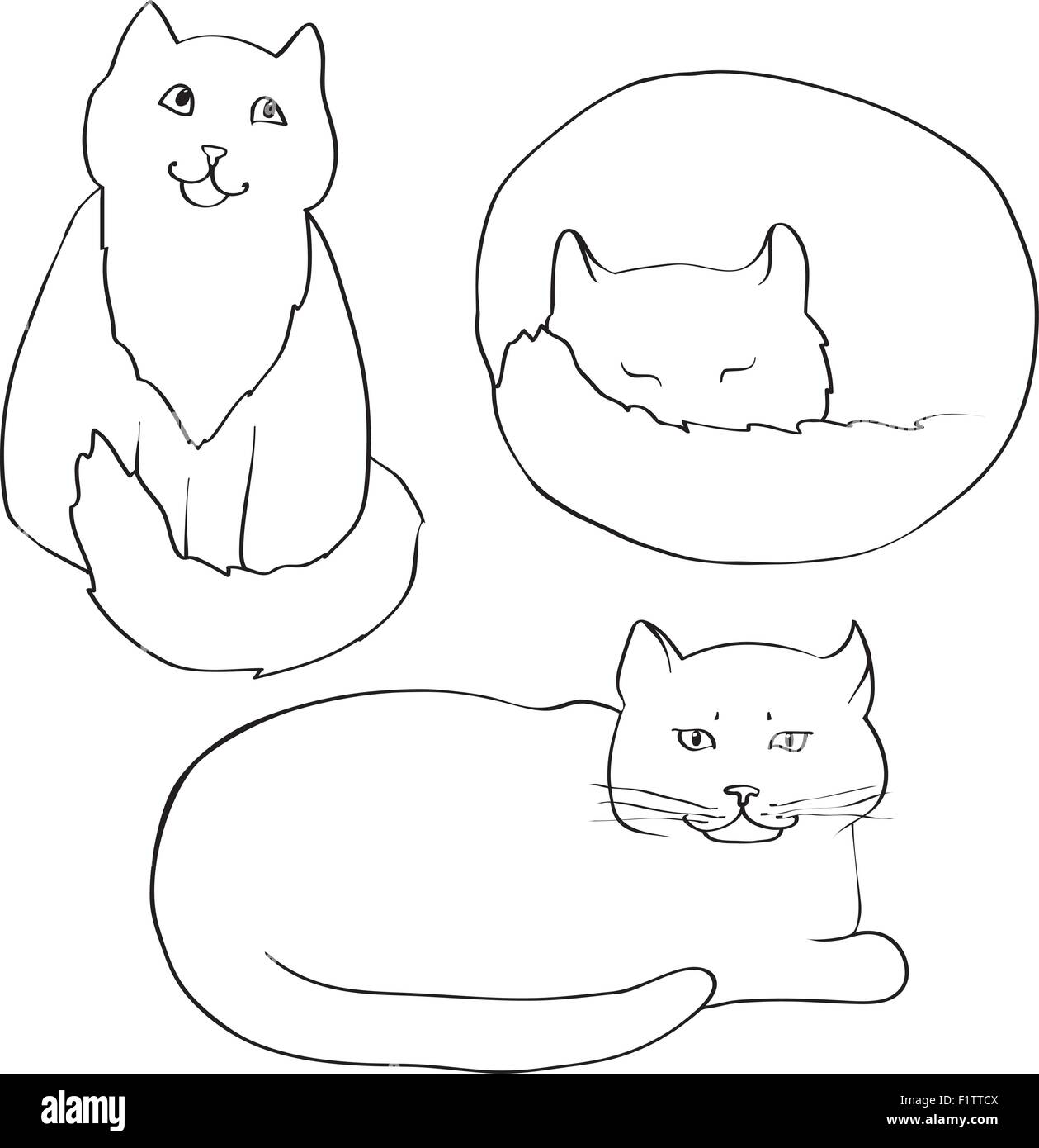 contour of a cat Stock Vector Image & Art - Alamy