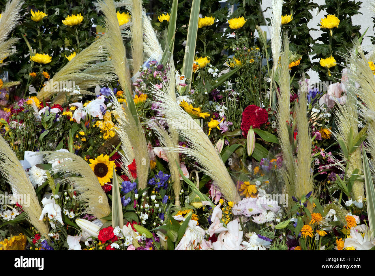 Flower tributes at Peace Park, Hiroshima on anniversary of atomic ...