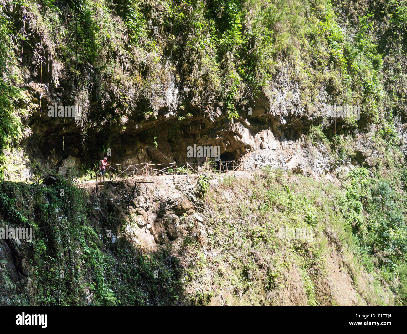Levadas are irrigation canals built to bring water from the wet north ...
