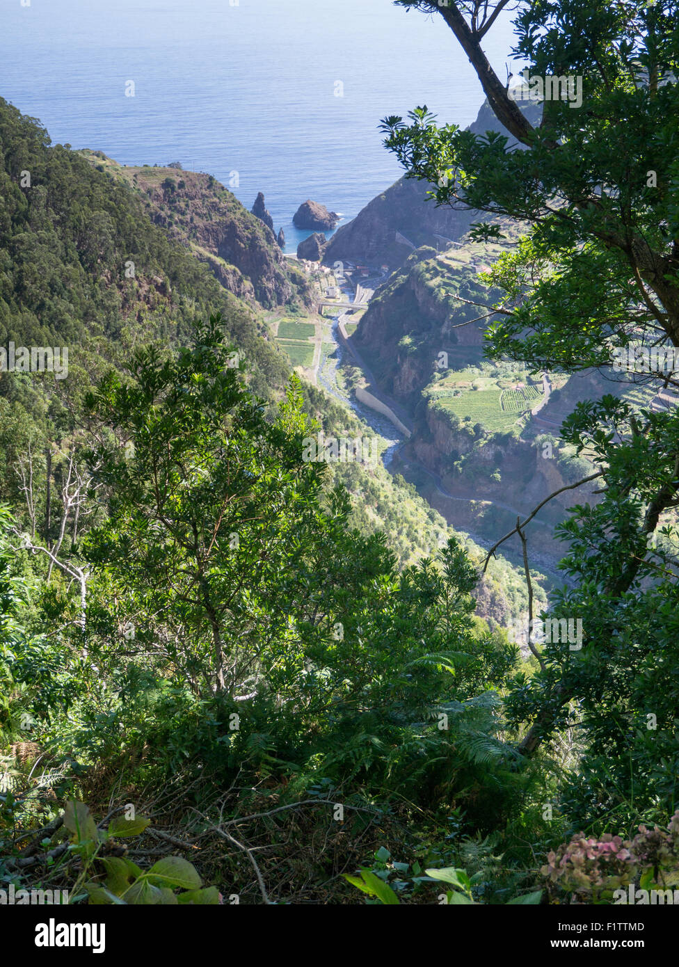 Levadas are irrigation canals built to bring water from the wet north ...