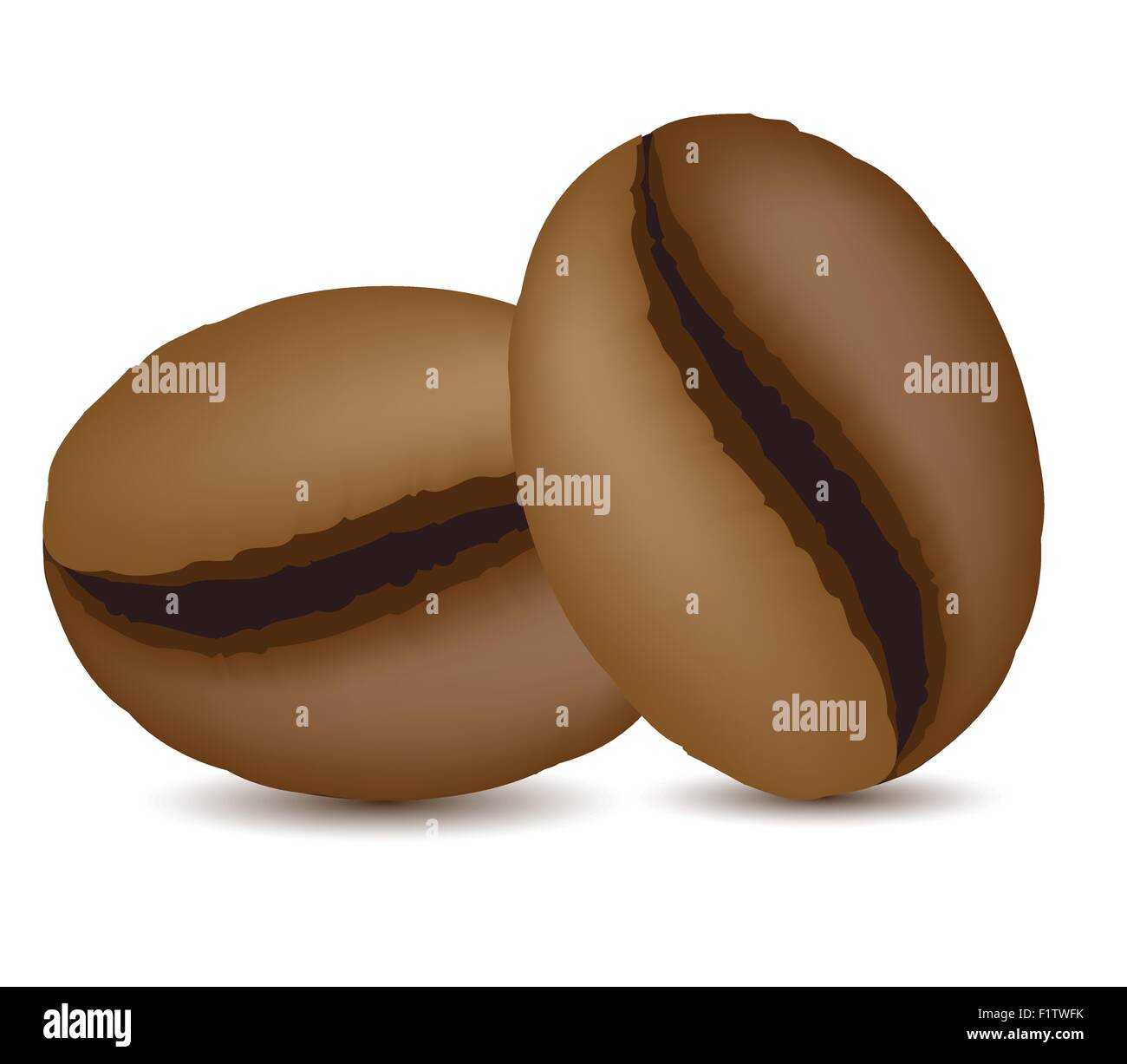 grains of coffee vector illustration isolated on white background Stock ...