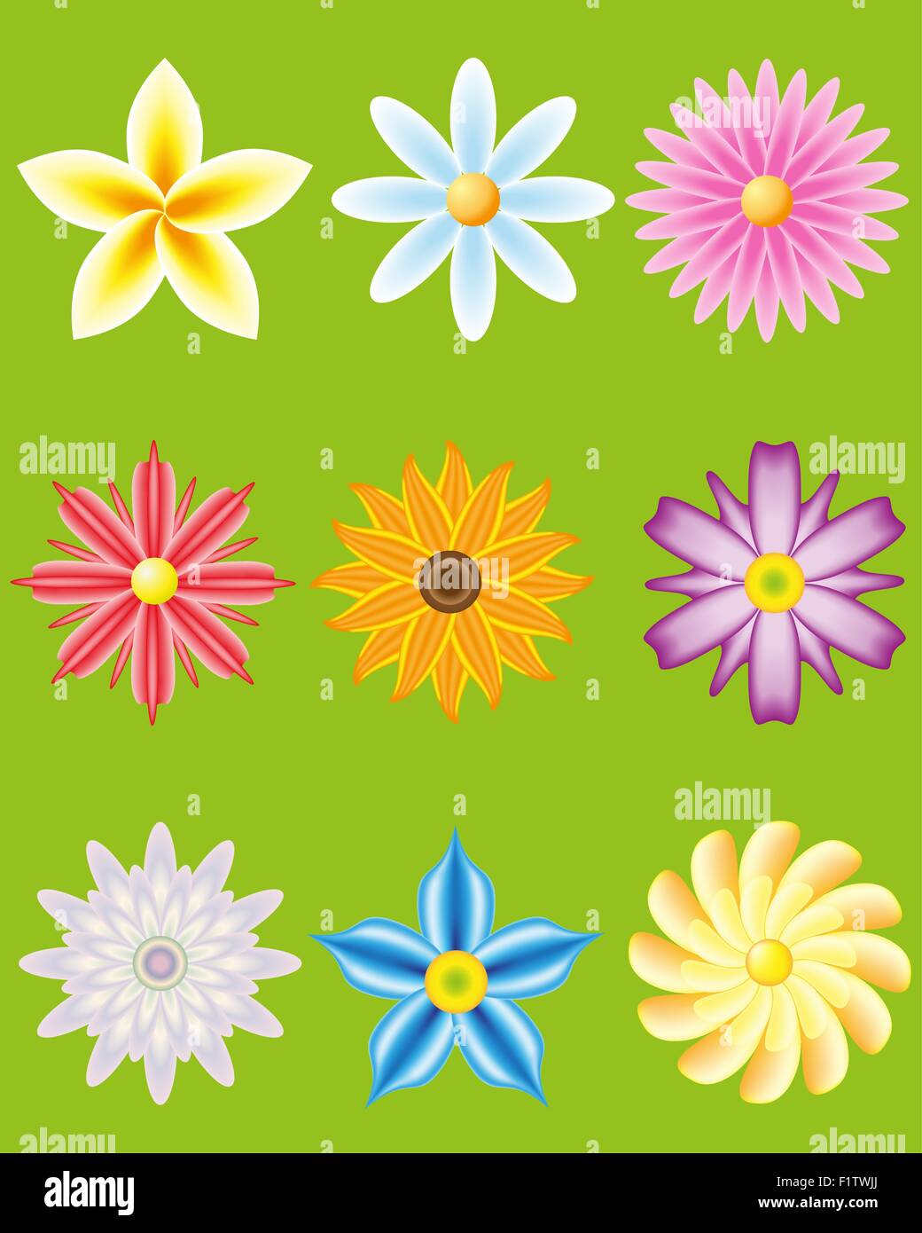 icon set of flowers for design vector illustration Stock Vector Image ...