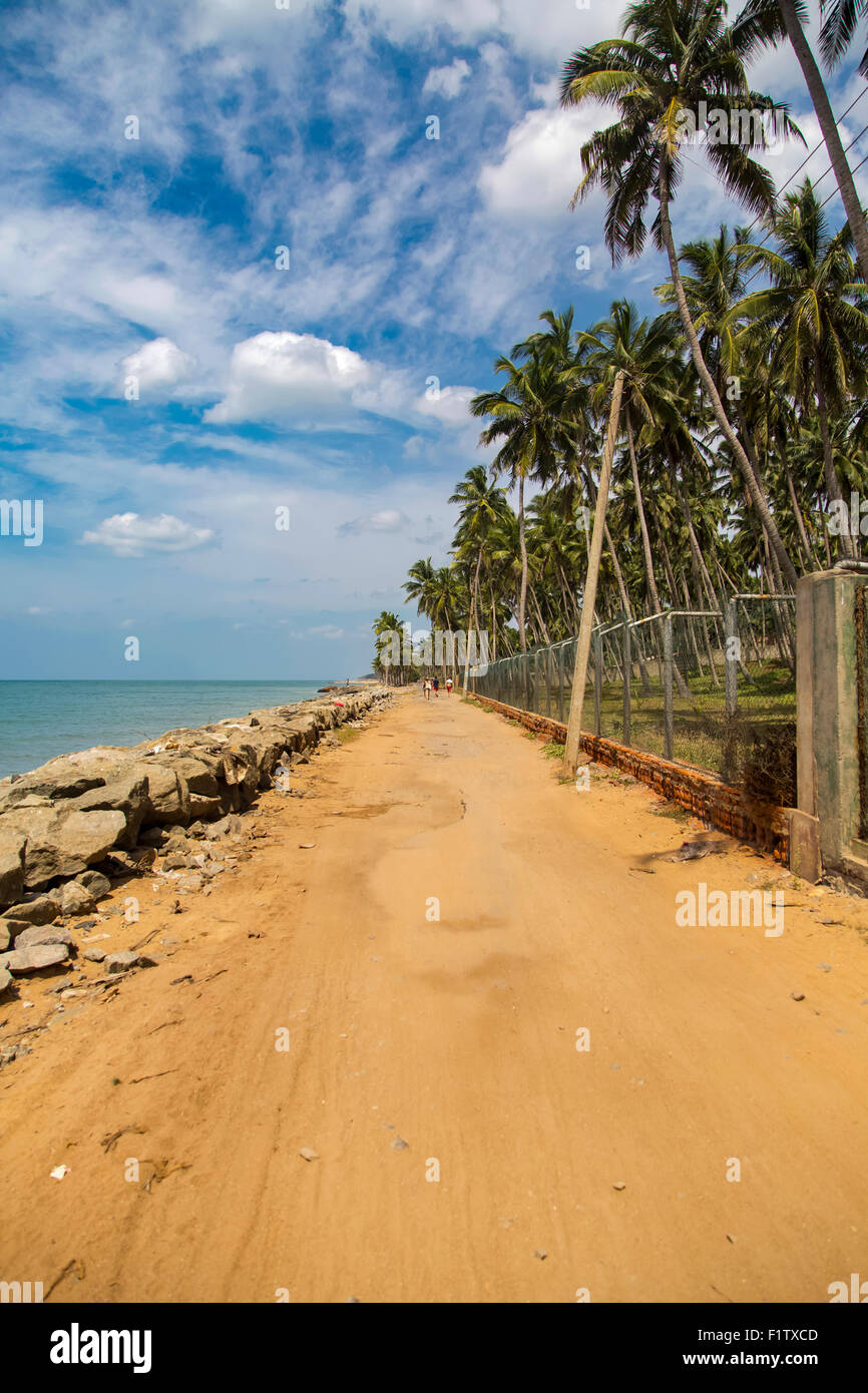 Negombo beach at Sri Lanka Stock Photo - Alamy