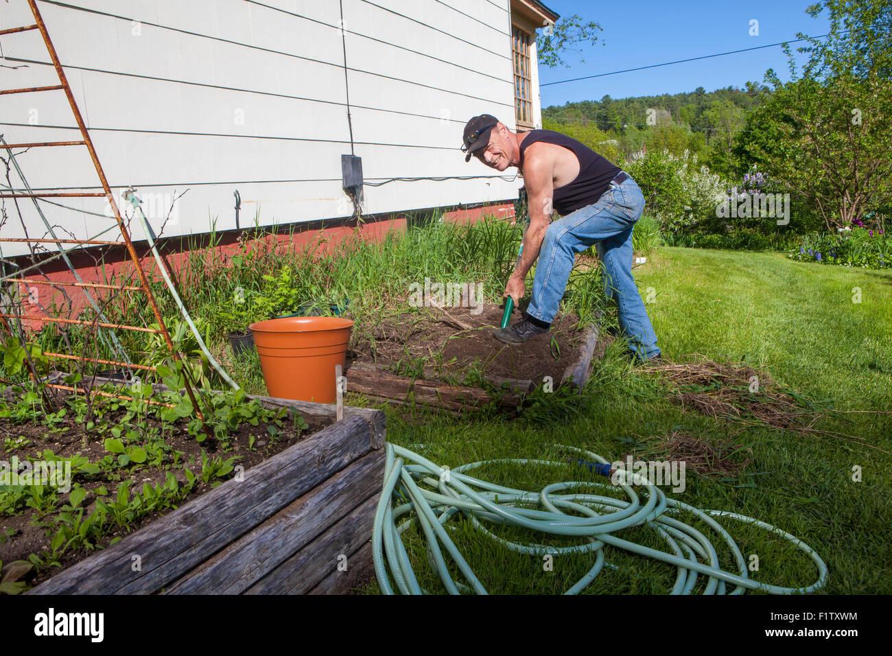 Vegetable trellis hi-res stock photography and images - Alamy