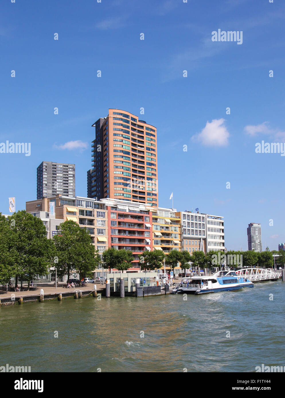 Rotterdam south holland hi-res stock photography and images - Alamy