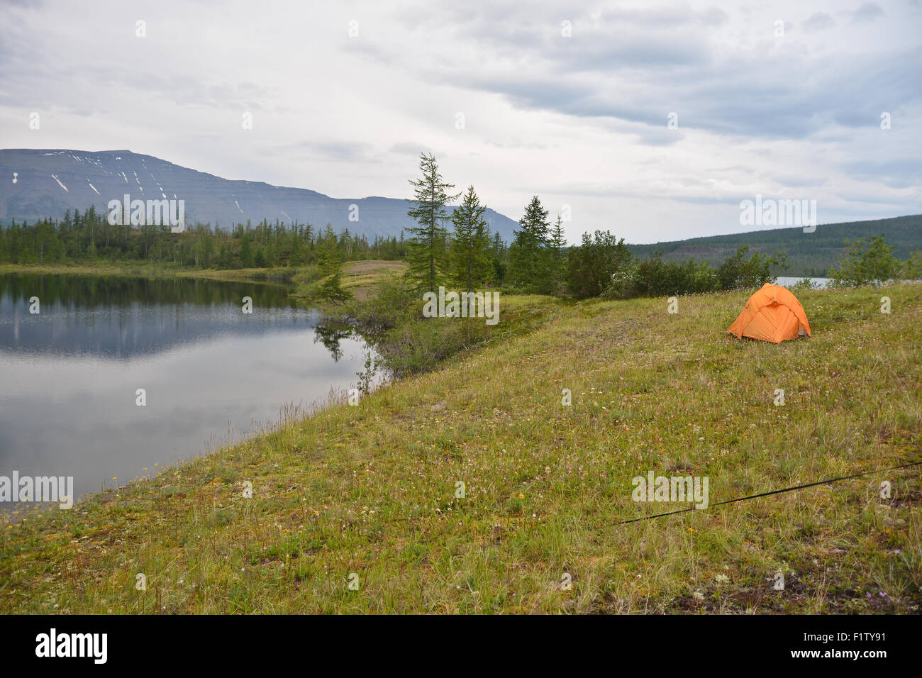 Tent in the tundra. Tourist tent on the Taimyr Peninsula, Siberia ...