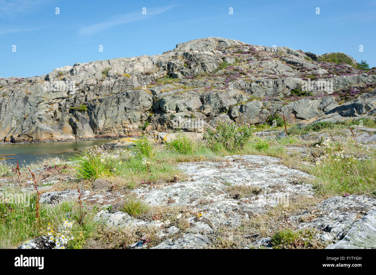 one little island on the swedisg westcoast in stigfjorden Stock Photo ...