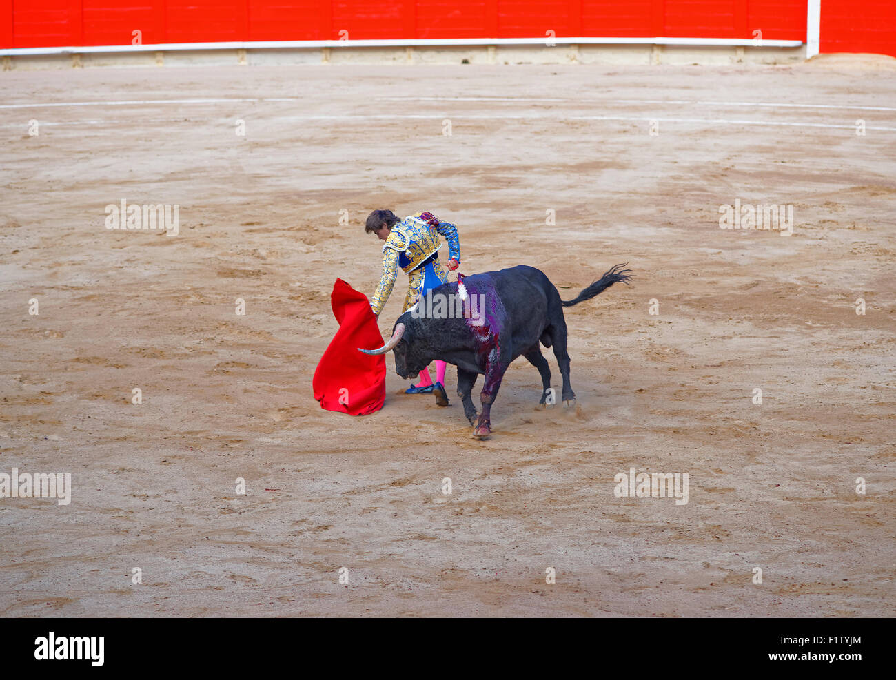 Spanish bullfighter teases the bull to show its character during a ...