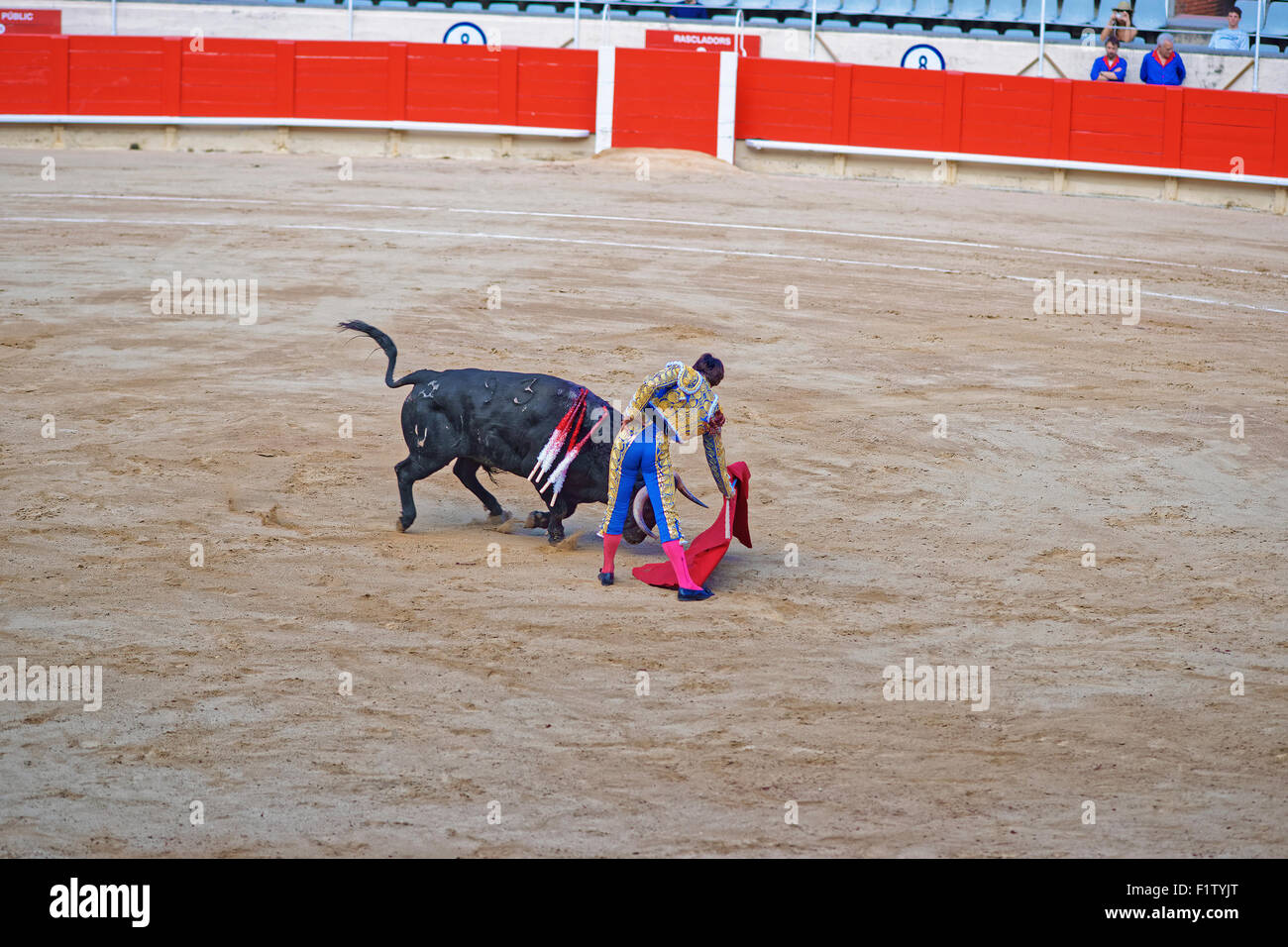 BARCELONA, SPAIN - AUGUST 01, 2010: Corrida (bullfighting), a Spanish ...
