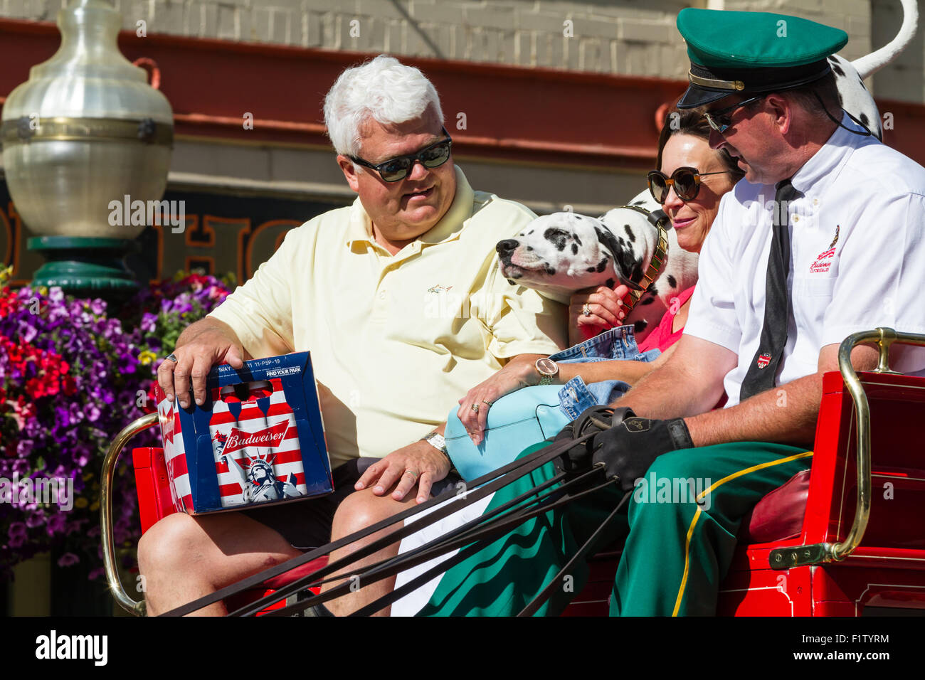 Coeur d alene dog hi-res stock photography and images - Alamy