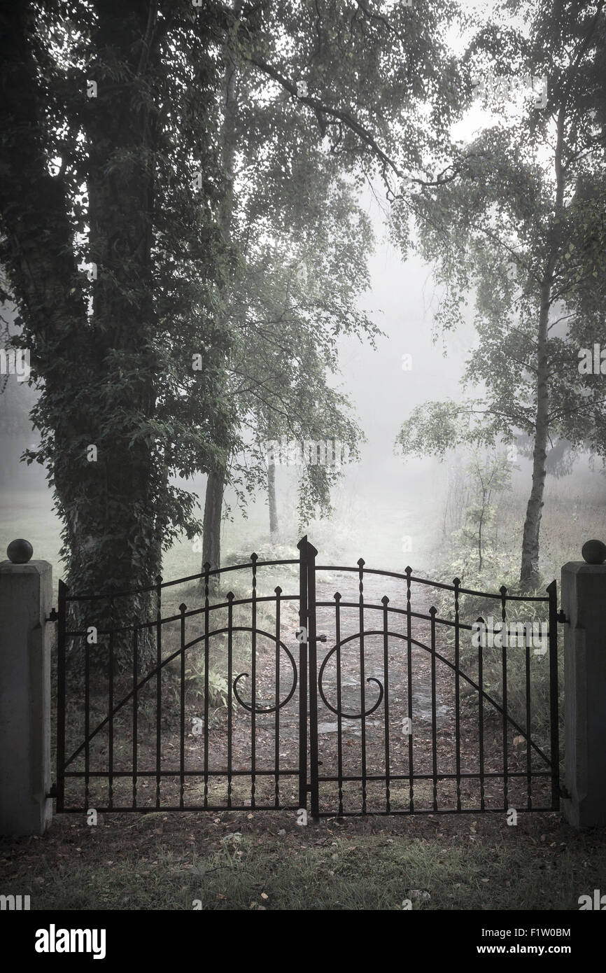 Mystical gate hi-res stock photography and images - Alamy