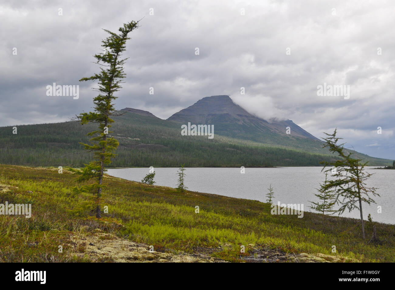 The mountains of lake. The Taimyr Peninsula, Putorana plateau, Siberia ...