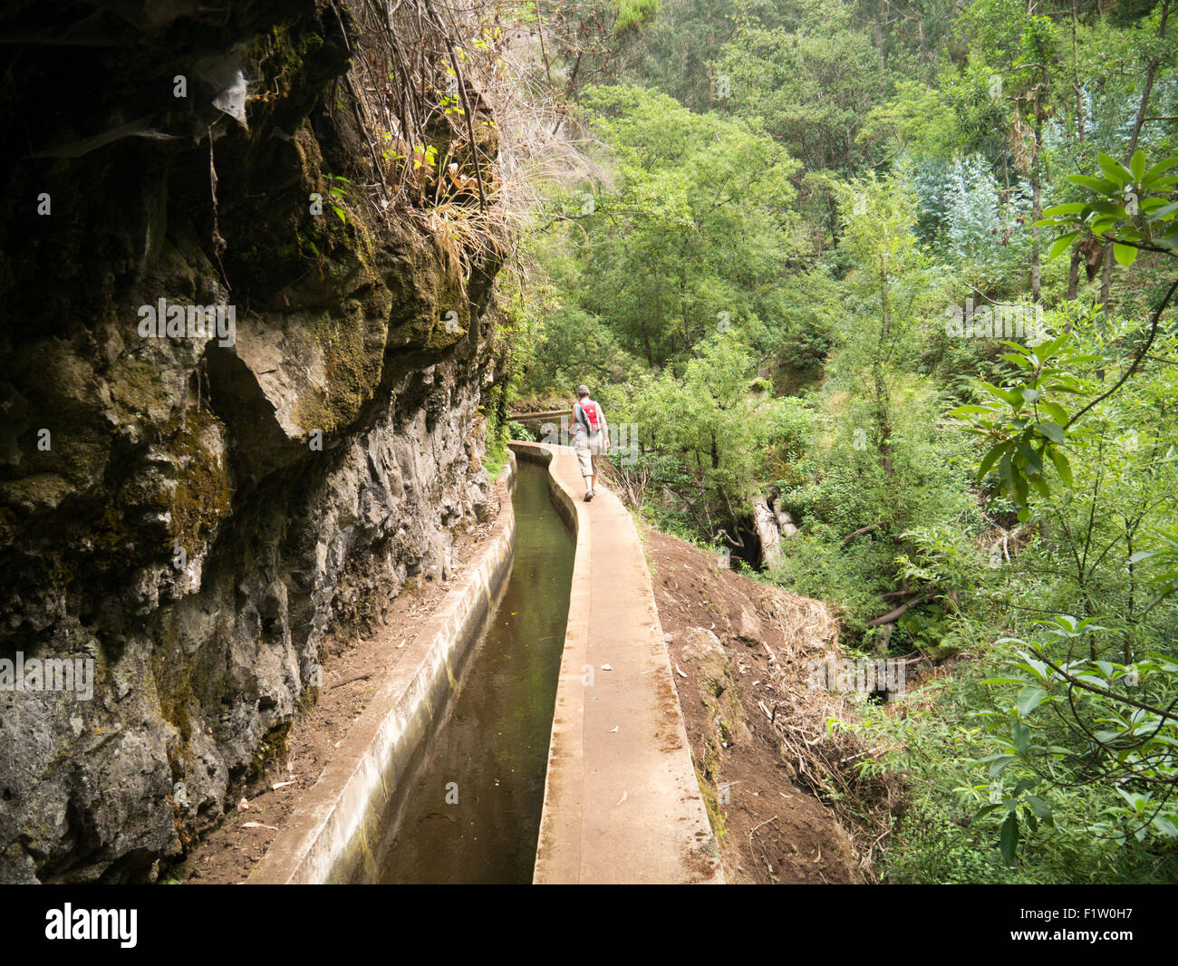 Levadas madeira hi-res stock photography and images - Alamy