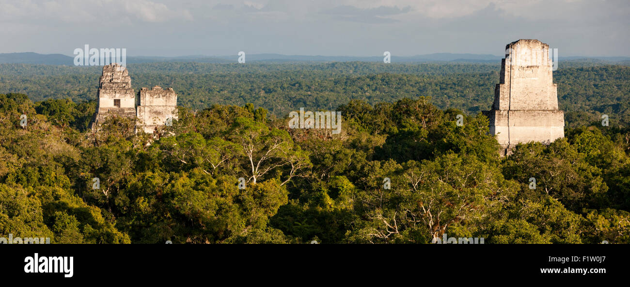 Jungle canopy and principal pyramid temples (I, II, V) of Tikal Mayan ...