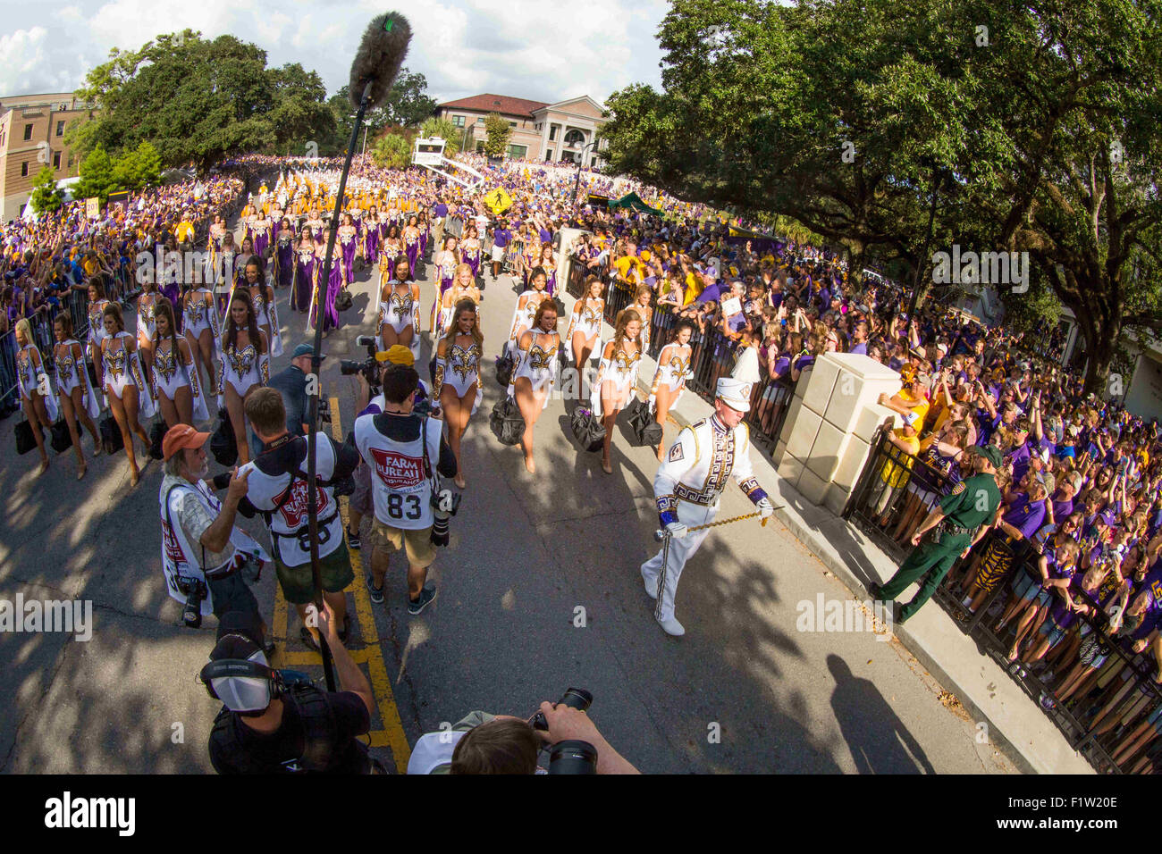 Golden band from tigerland hi-res stock photography and images - Alamy