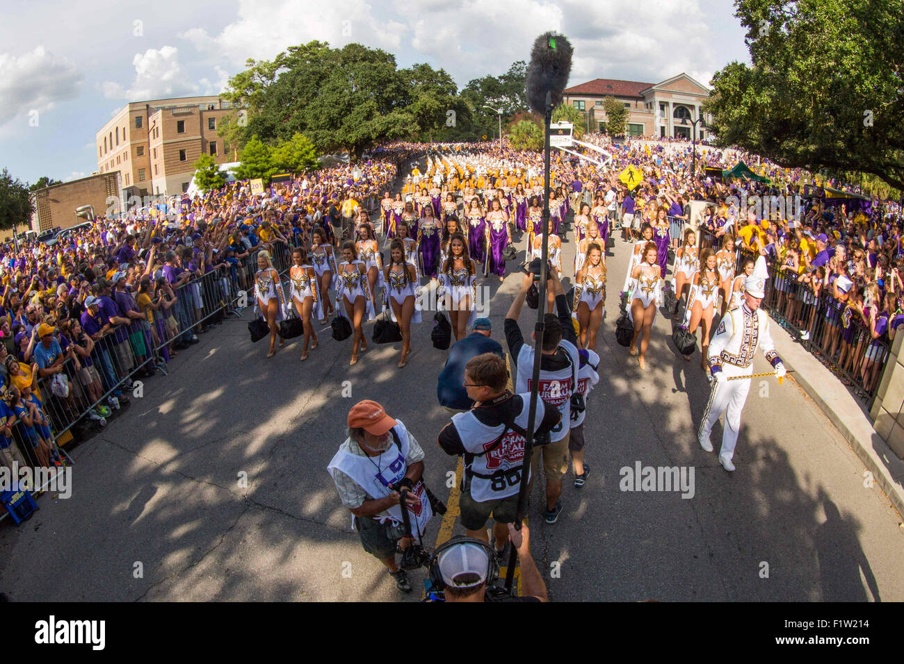Golden band from tigerland hi-res stock photography and images - Alamy